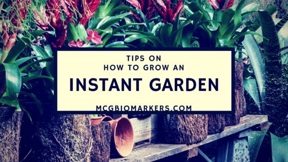 Tips on How to Grow an Instant Garden - MCG Bio Markers
