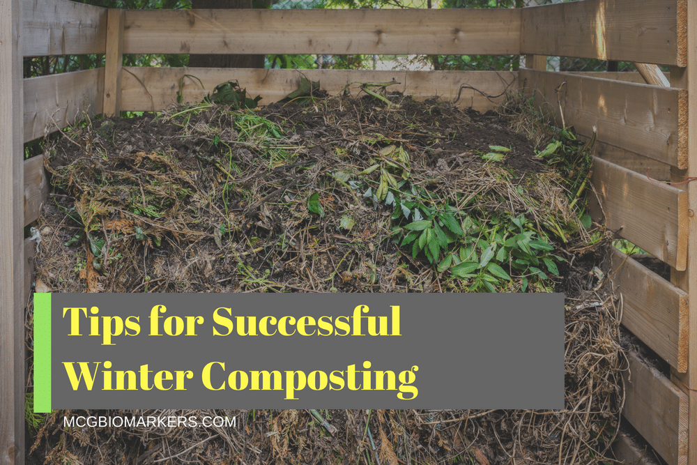 Compost Garden In Winter at Joanna Swanner blog