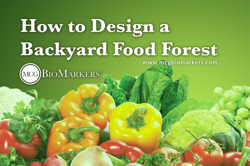 How to design a backyard food forest - MCG Bio Markers