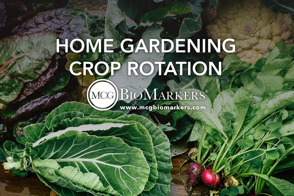 Benefits of Home Gardening Crop Rotation - MCG Bio Markers
