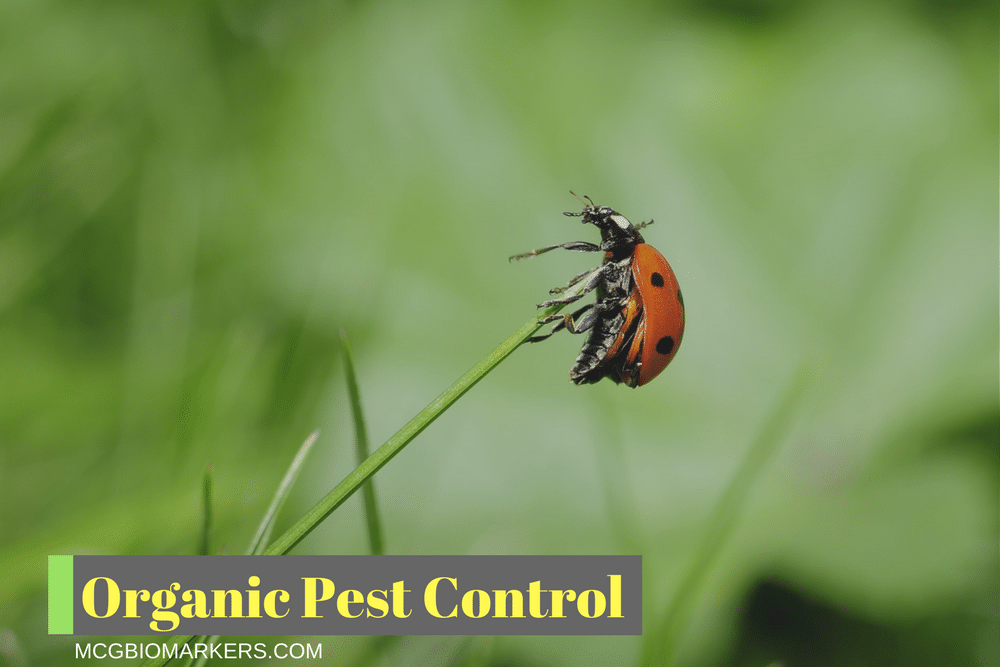 Organic Pest Control - MCG Bio Markers