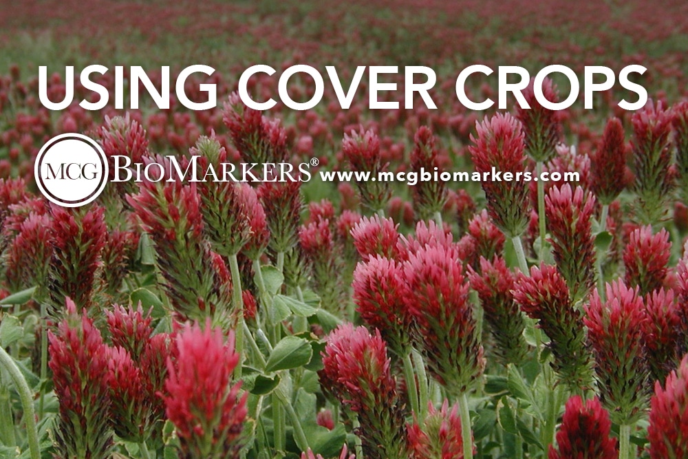Using Cover Crops - MCG Bio Markers