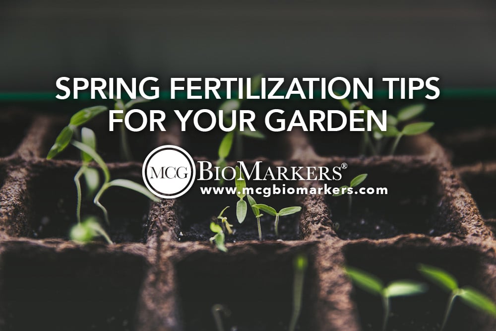 Spring Fertilization Tips for Your Garden - MCG Bio Markers