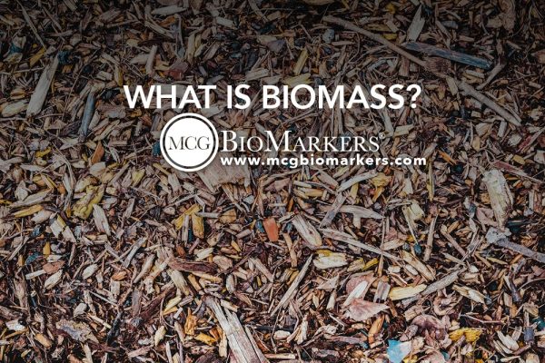 What is Biomass? - MCG Bio Markers