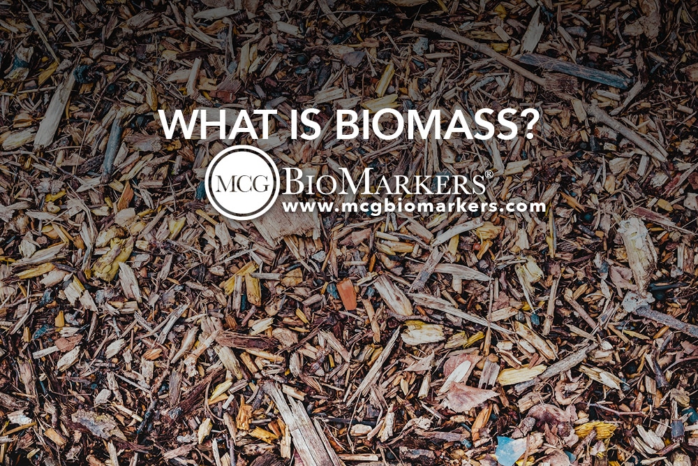 What is Biomass? - MCG Bio Markers