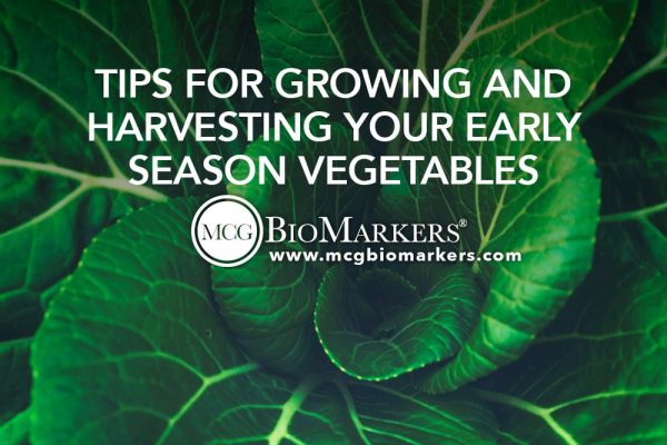 Tips for Growing and Harvesting Your Early Season Vegetables - MCG Bio ...